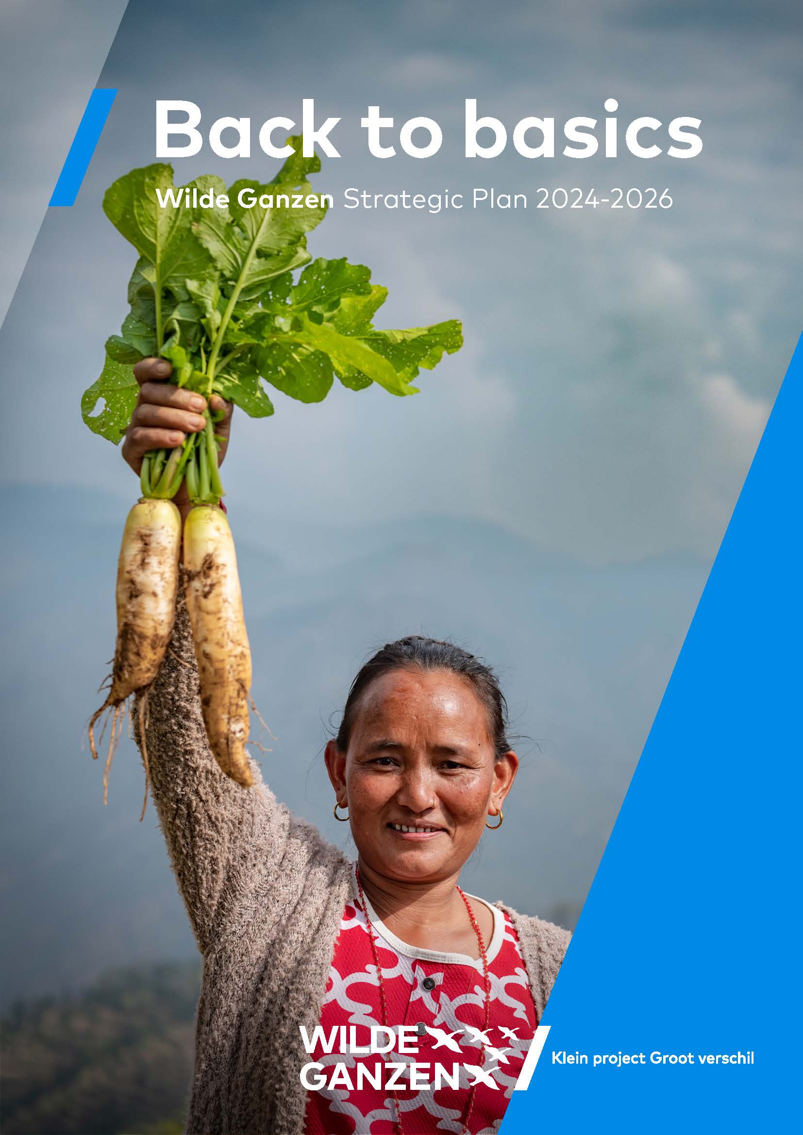 Plans and reports | Wilde Ganzen