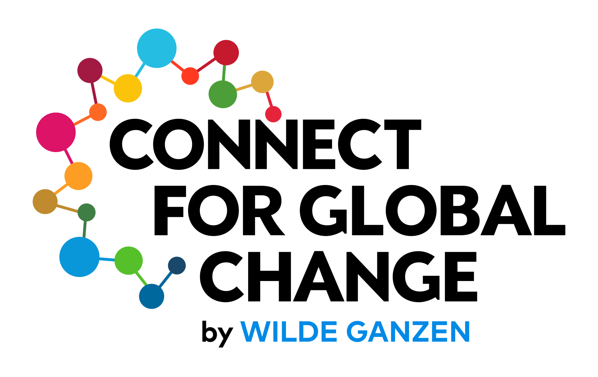 Connect for Global Change | Promoting global citizenship | Wilde Ganzen